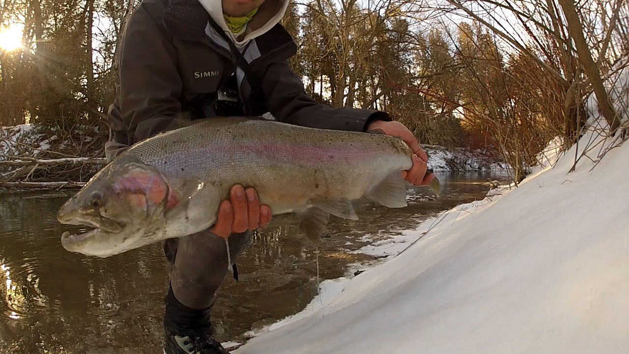 Ontario River Steelhead Float Fishing - YouTube