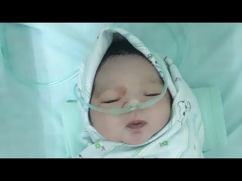 Proses persalinan normal di indonesia