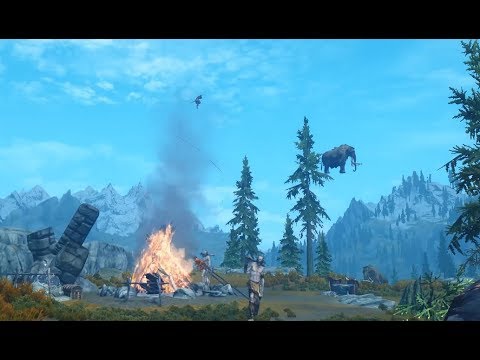 NPC free falling from the sky & a floating mammoth | The Elder Scrolls ...