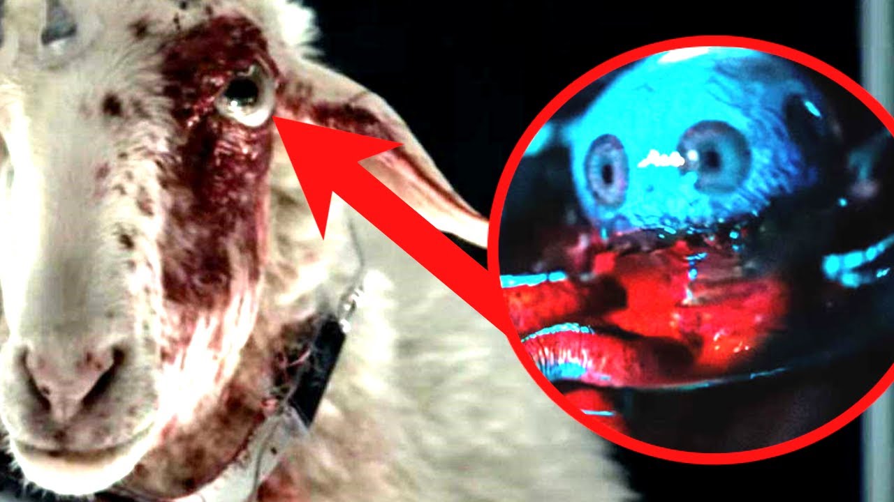 Alien Earth Trailer 2 Breakdown: T. Ocellus is Terrifying! - YouTube