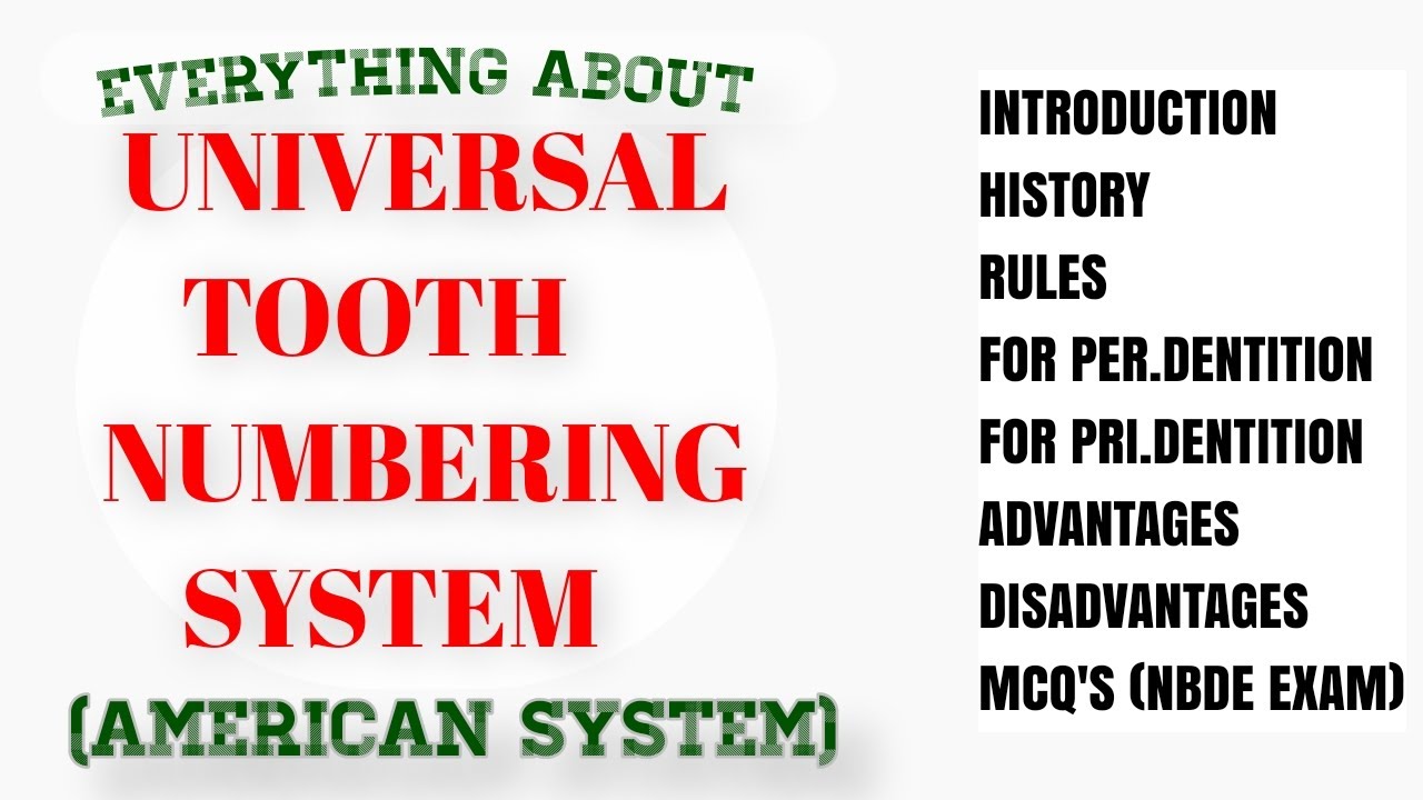 Universal Tooth Notation Universal Tooth Numbering MCQs NBDE EXAM Universal Tooth Notation Universal Tooth Numbering MCQs NBDE EXAM