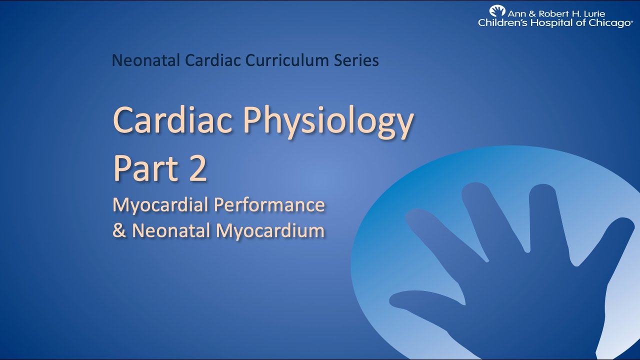 Cardiac Physiology Part 2 - Myocardial Performance & Neonatal ...