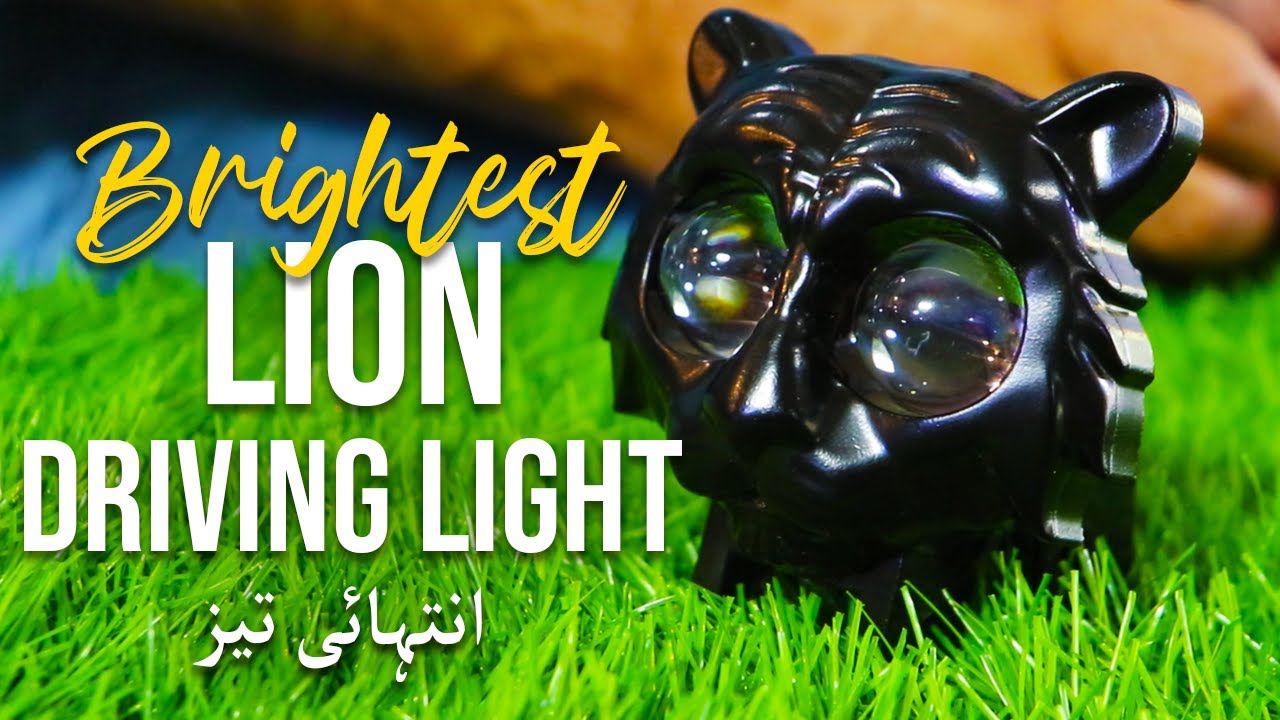 New Brightest Lion Led Projector Light | Spider Net | Auto Care - YouTube