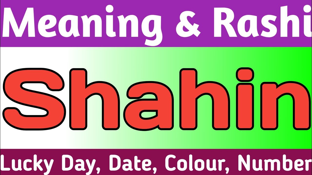Shahin Name Meaning Shahin Naam Ki Rashi Shahin Naam Ka Matlab shahin-name-meaning-shahin-naam-ki-rashi-shahin-naam-ka-matlab