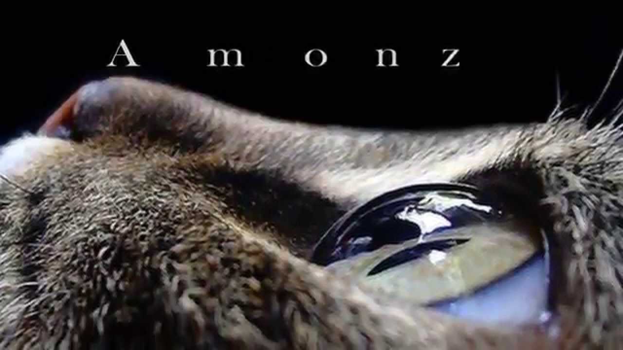 Your eyes - Amonz - YouTube