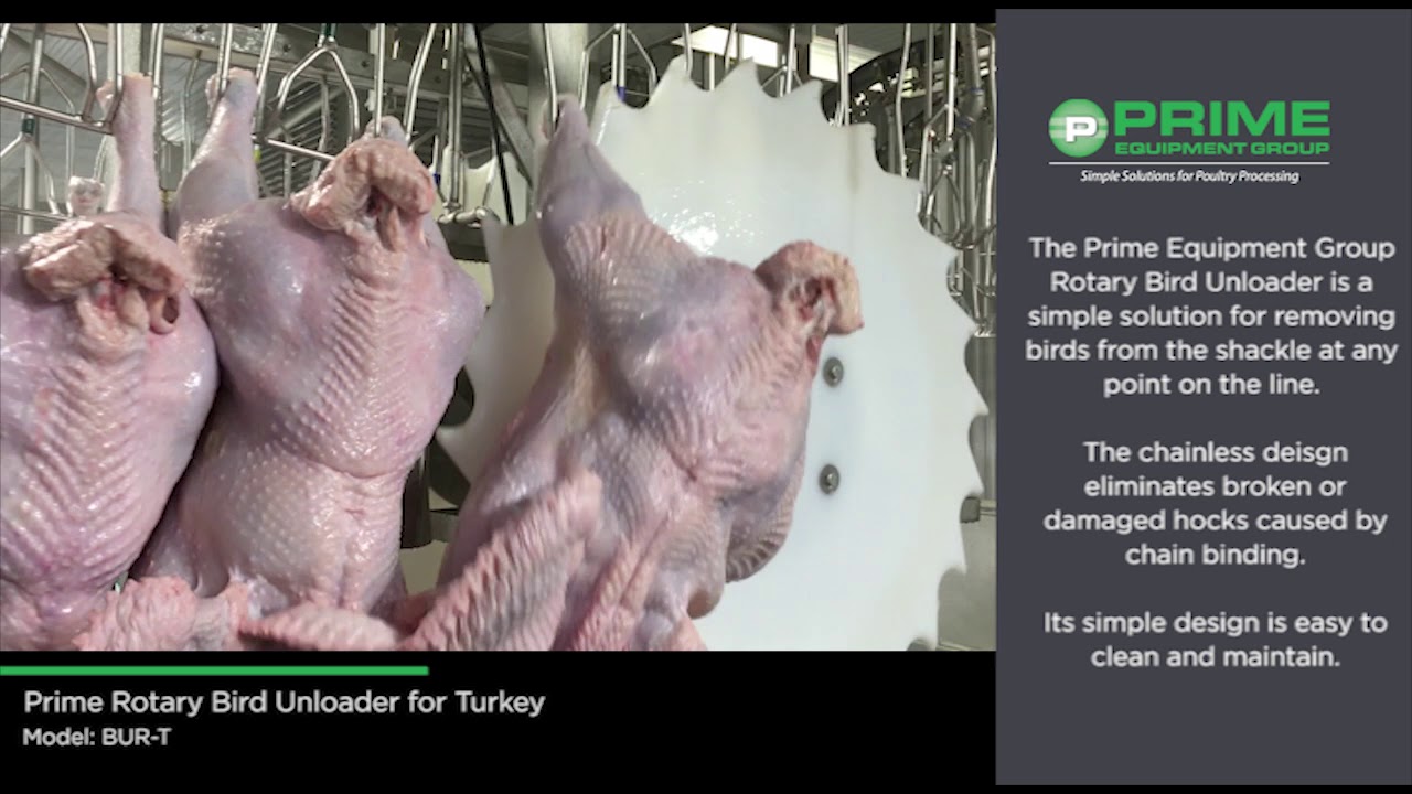 BUR-T Rotary Bird Unloader for Turkey - YouTube