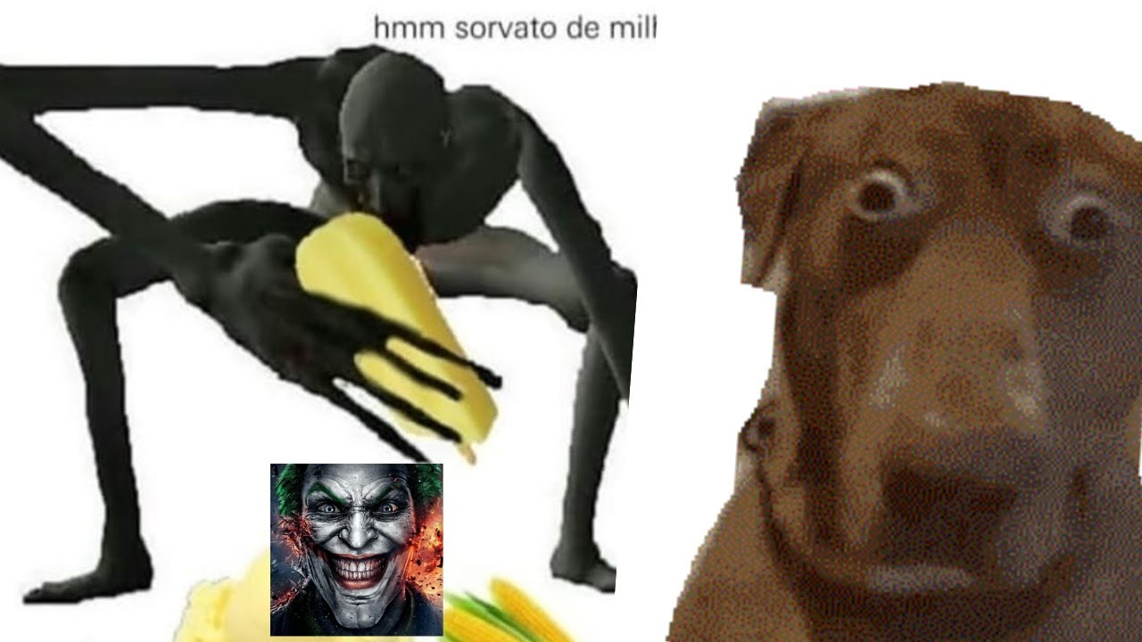 Home do SACO - MINECRAFT - YouTube