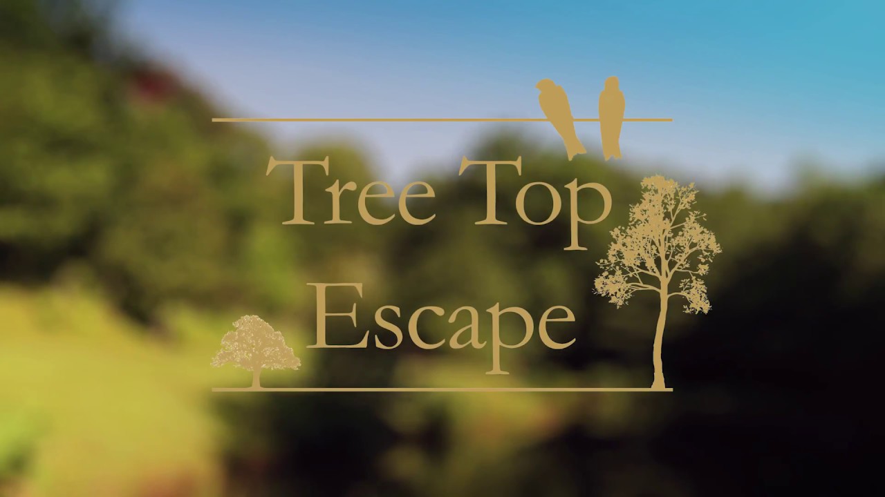 Tree Top Escape Intimate Winter Wedding - YouTube