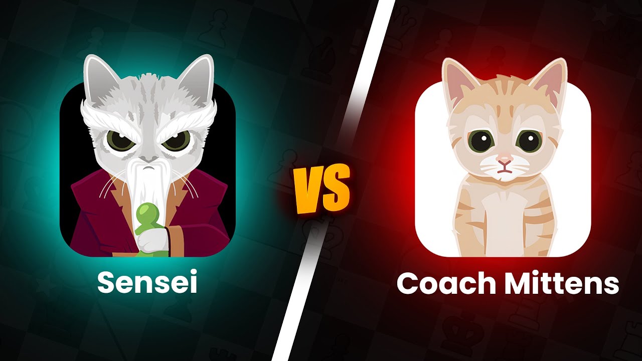 Sensei vs Coach Mittens!! Who Crushes Who? 🤯🔥 - YouTube