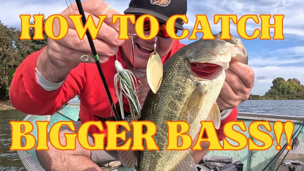 The Best Fall Bass Fishing Techniques - YouTube