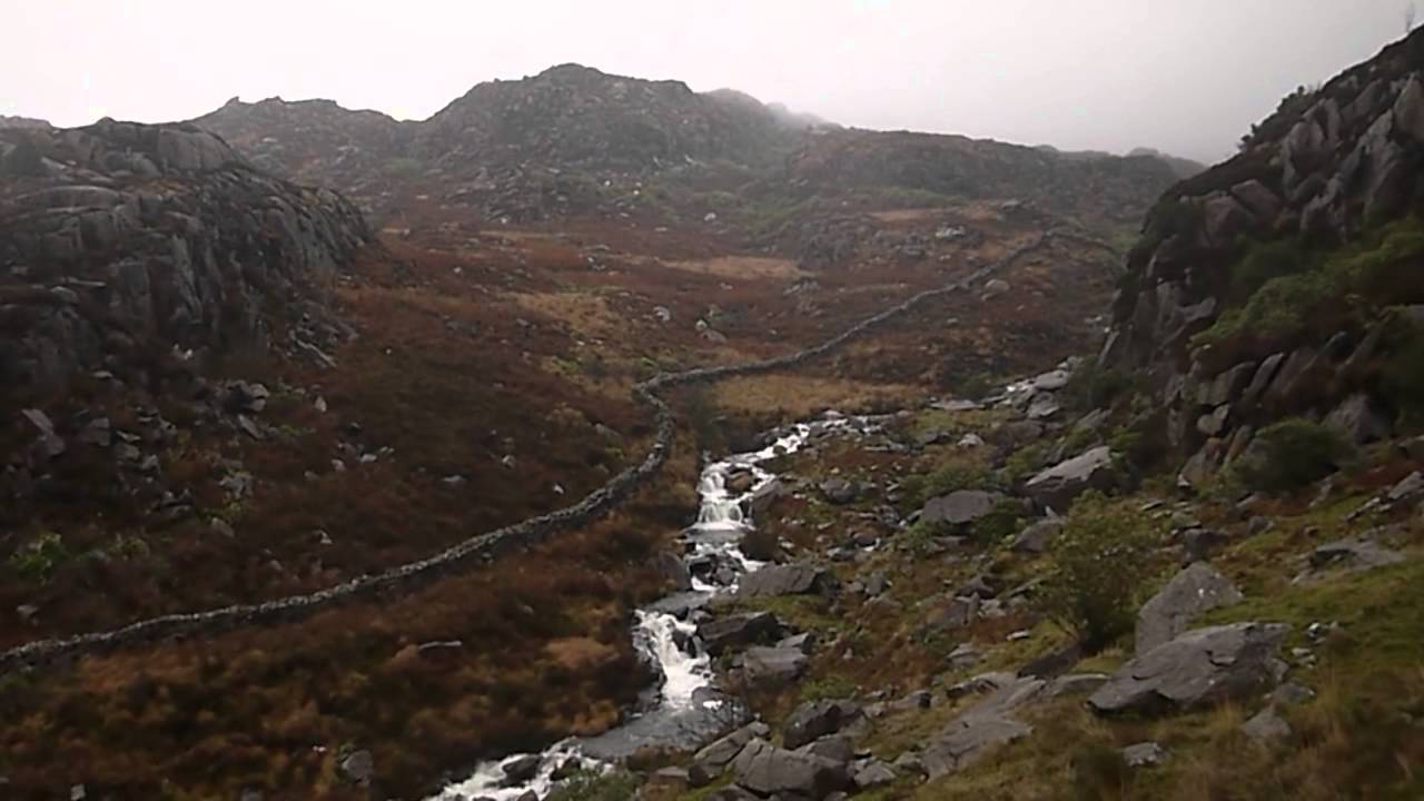 Wales Sionnach 2014 - YouTube