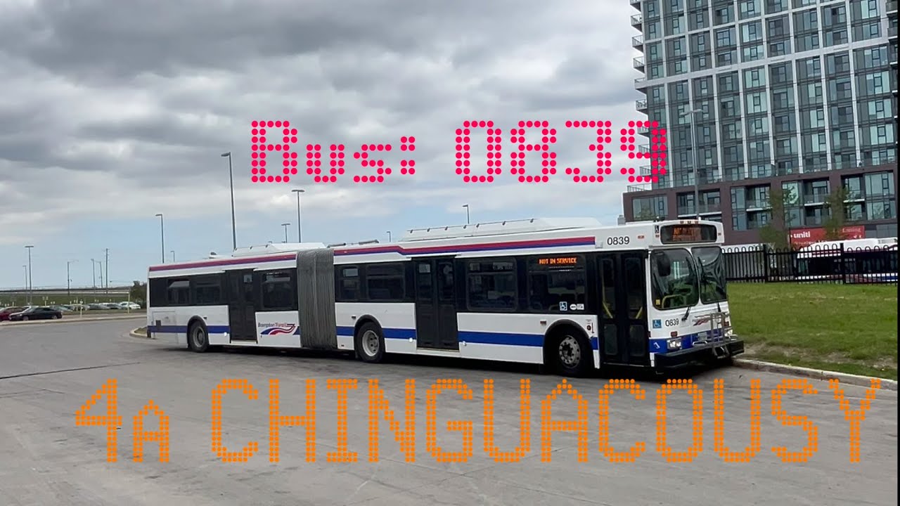 [RIDE] 0839 on 4A Chinguacousy (Brampton Transit) - YouTube
