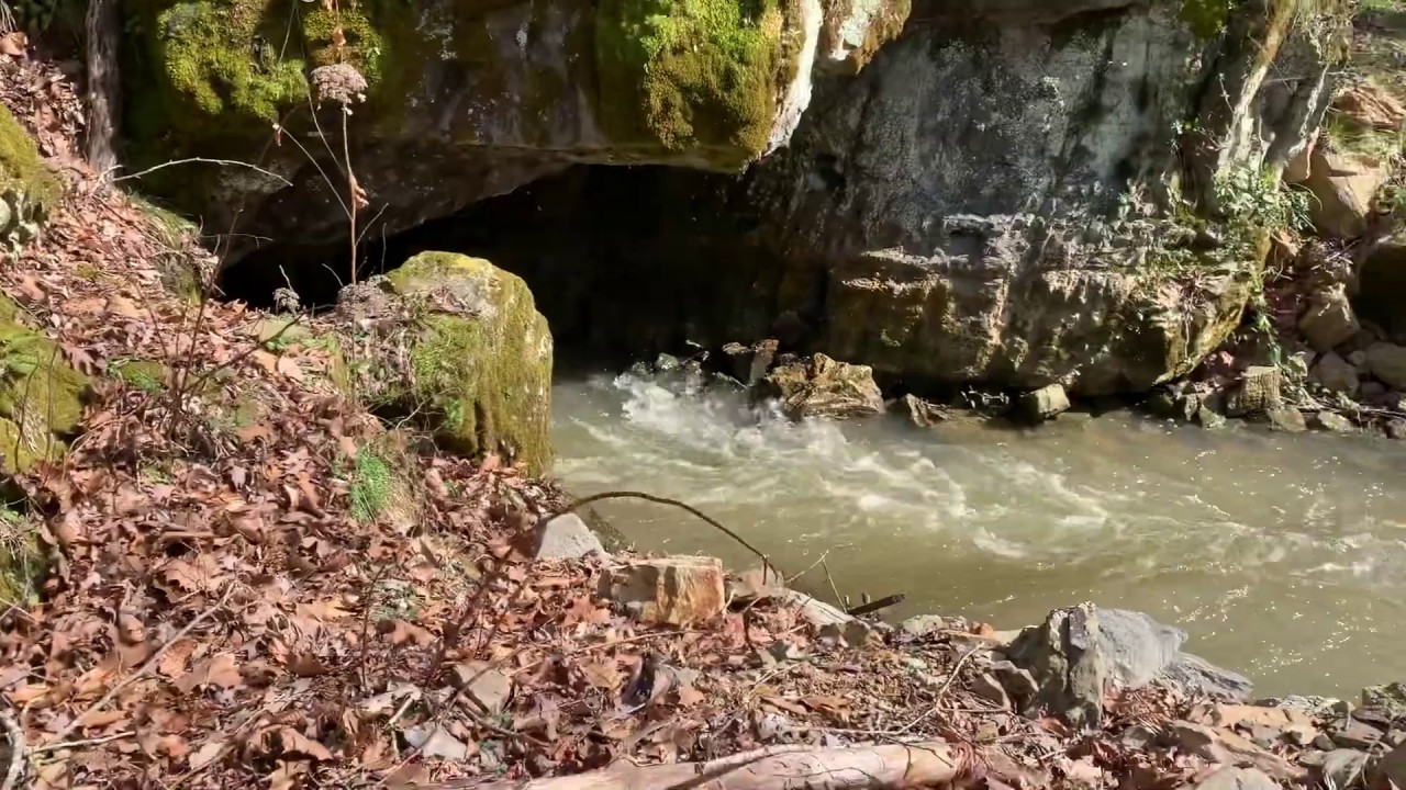 RIP Weaver Cave #shorts #youtubeshorts - YouTube