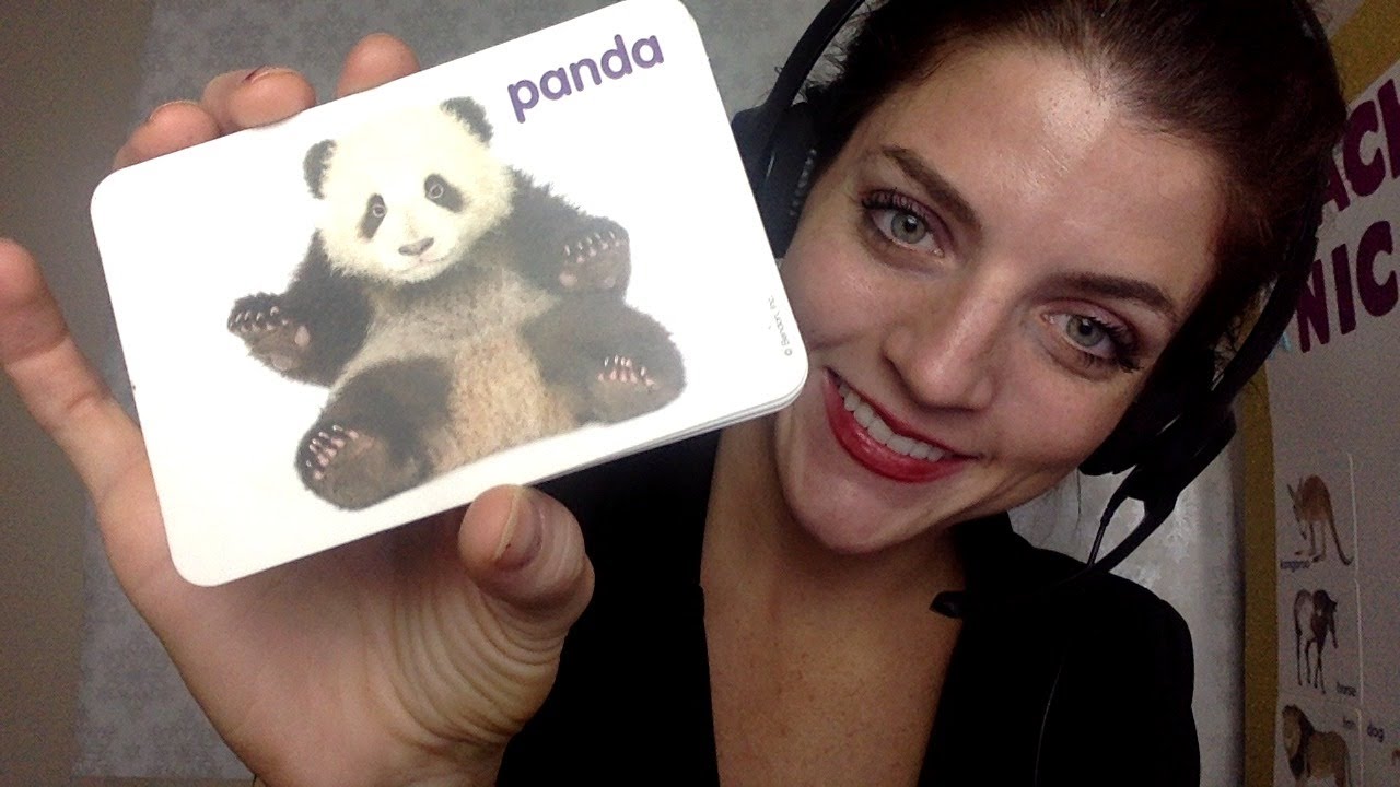 Let's learn Animal names in English! | Learn English with Teacher ...