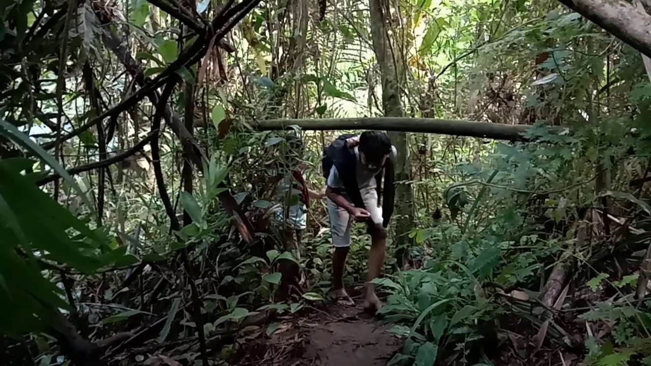 Ada Apa Di Curug Cisadane? Curug Alami Yang Masih Terjaga Di Lereng ...