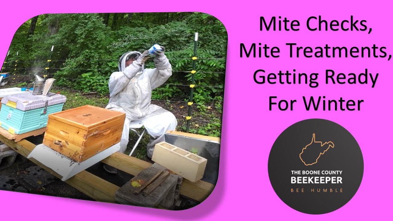 Mite Wash, Mite Treatments, Getting Ready For Old Man Winter - YouTube