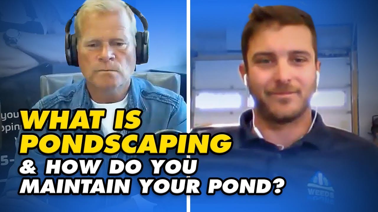 What exactly is Pondscaping? & How do you maintain your pond? - YouTube