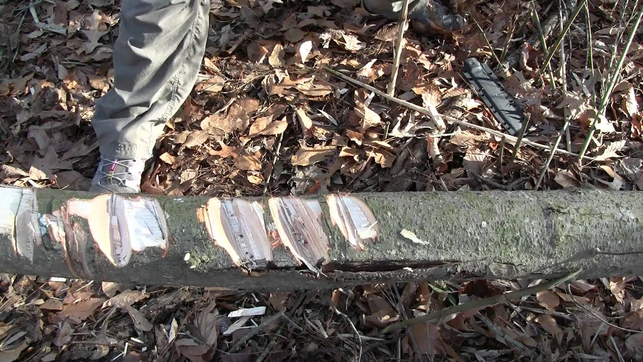 Busse Desert Storm Stealth Fighter (DSSF) (Close-up) (HD) - YouTube