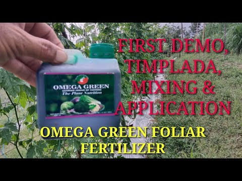 OMEGA GREEN FOLIAR FERTILIZER DEMO : TIMPLADA, MIXING & APPLICATION ...