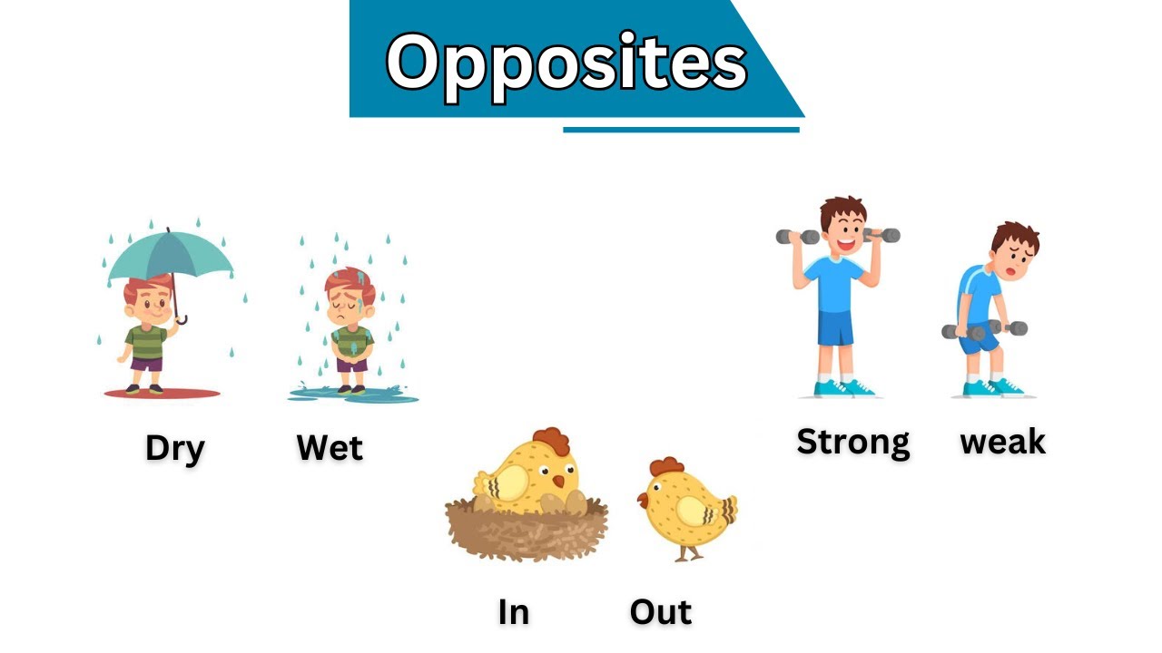 Opposite words for kids | Antonyms | Daily use english sentences ...