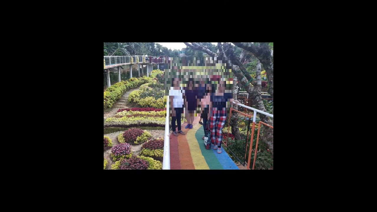 WOW Alejandra ( Flower Paradise )#Cebu City Philippines@My Lifes ...
