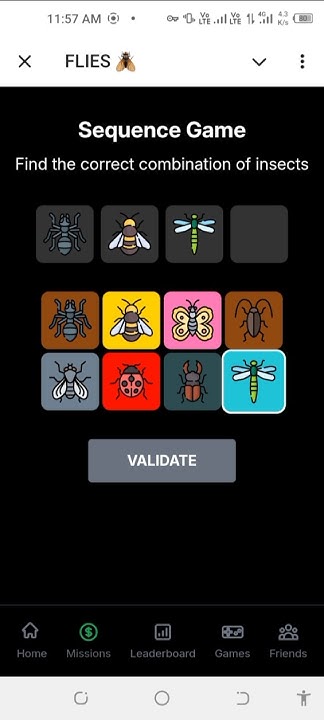 Flies combo 5 December - YouTube