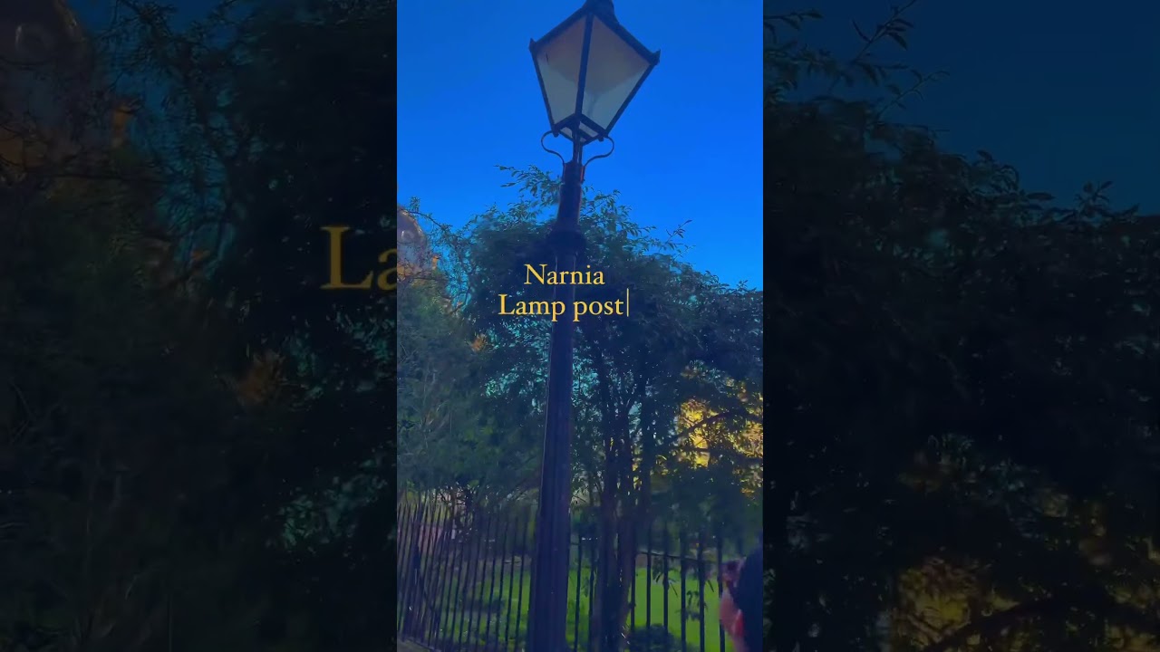 Narnia Lamp Post Wallpaper