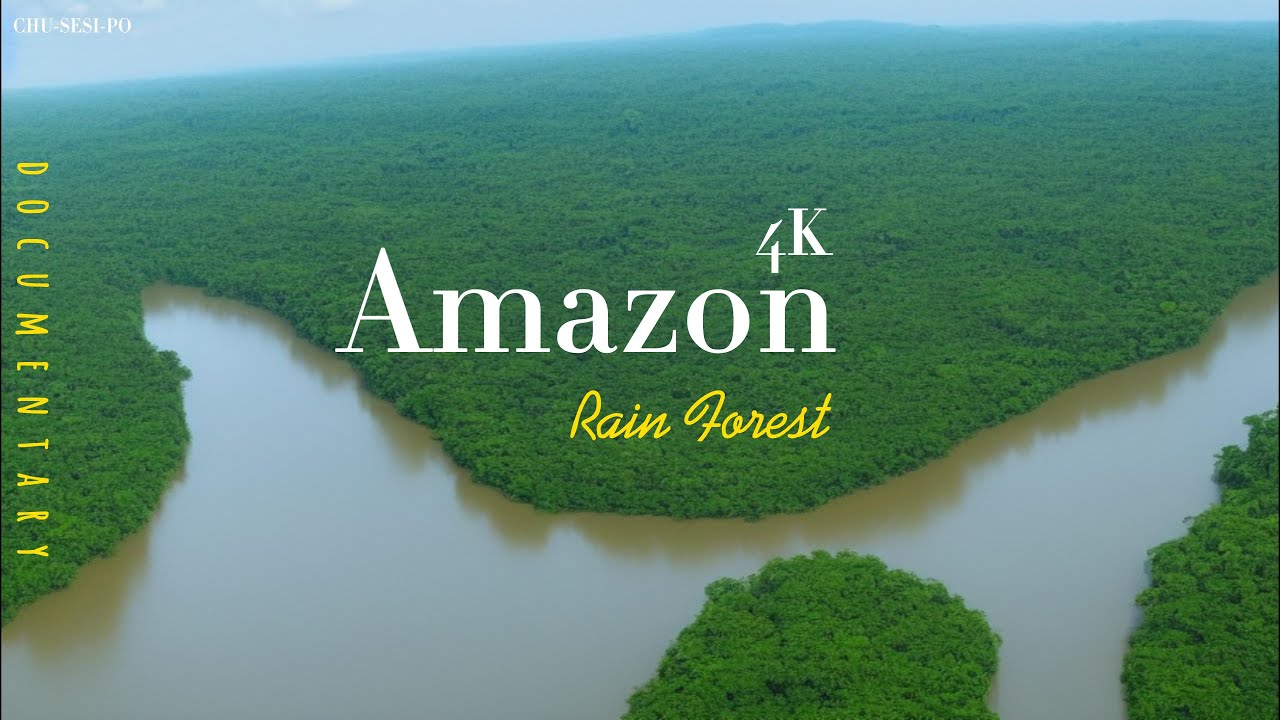 EXPLORE the Hidden World of AMAZON RAINFOREST - YouTube