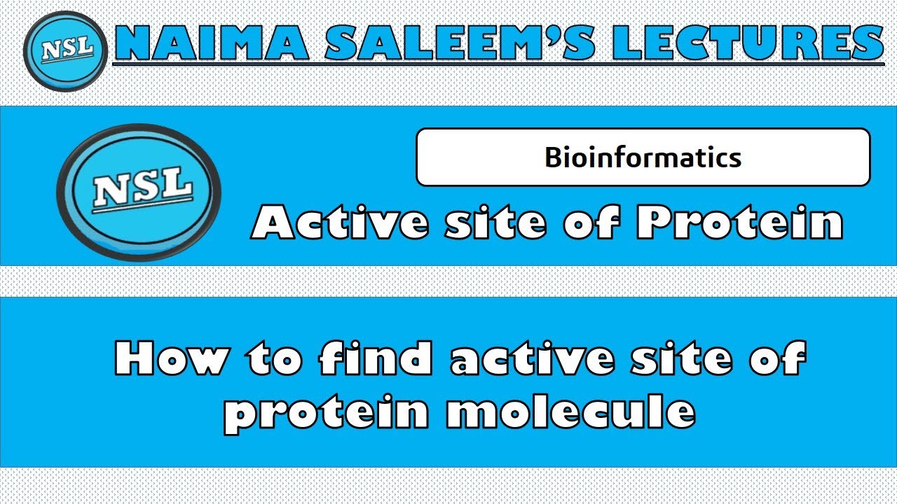 How to find Active site of Protein || Amino acids on active sites of ...