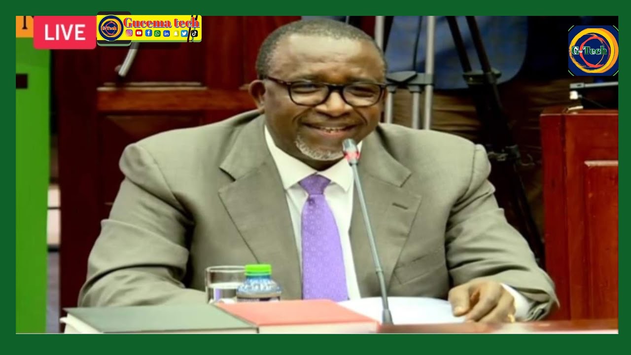 Day 4 of Cs nominee vetting: Mithika Linturi Agriculture cs on the ...