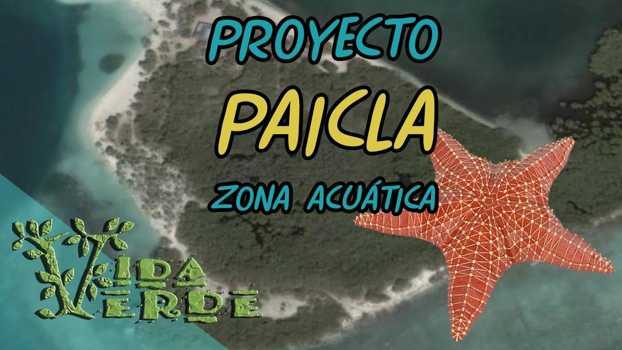 Proyecto Paicla Zona Acuática - YouTube