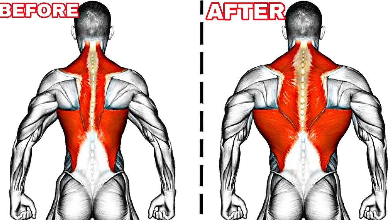 5 Exercises to Build a Wide Back Fast - YouTube