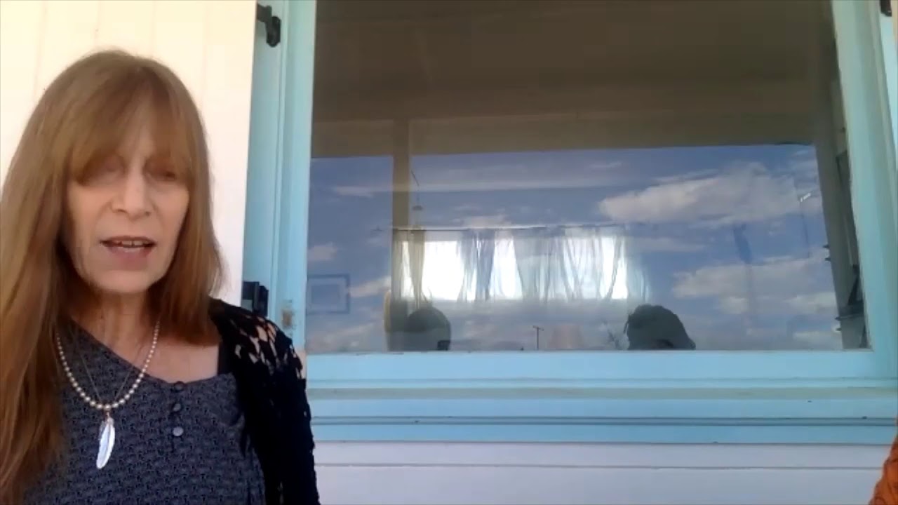 Lisa Mednick Powell reads T For Texas - YouTube