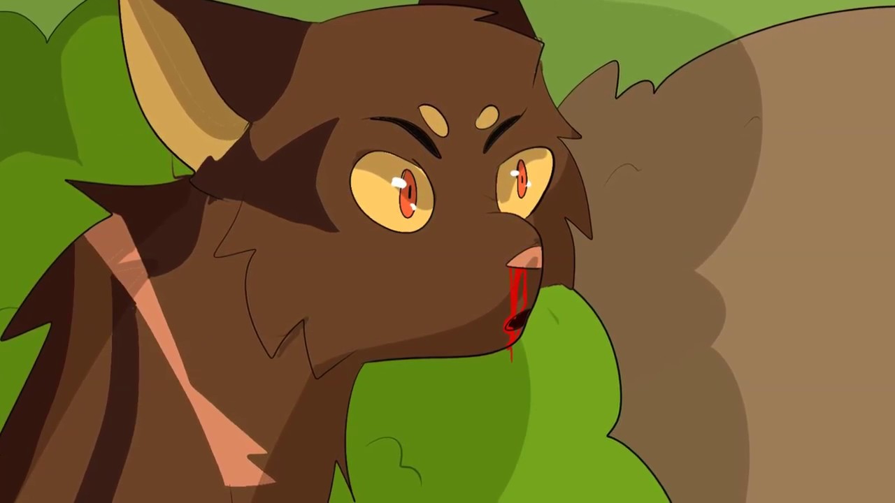 Brambleclaw X Hawkfrost 72h Spoof Map Part 6 Youtube