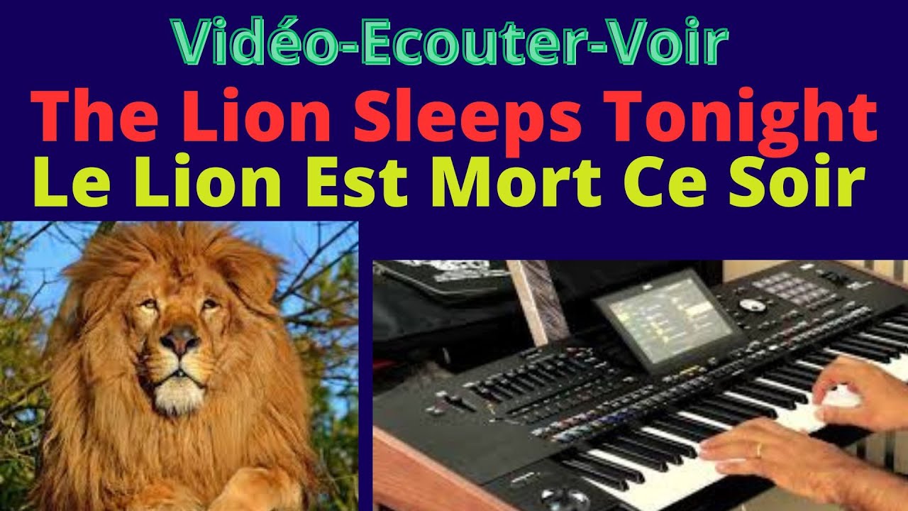 The Lion Sleeps Tonight, Le Lion Est Mort Ce Soir,Cover Daniel Garcia ...