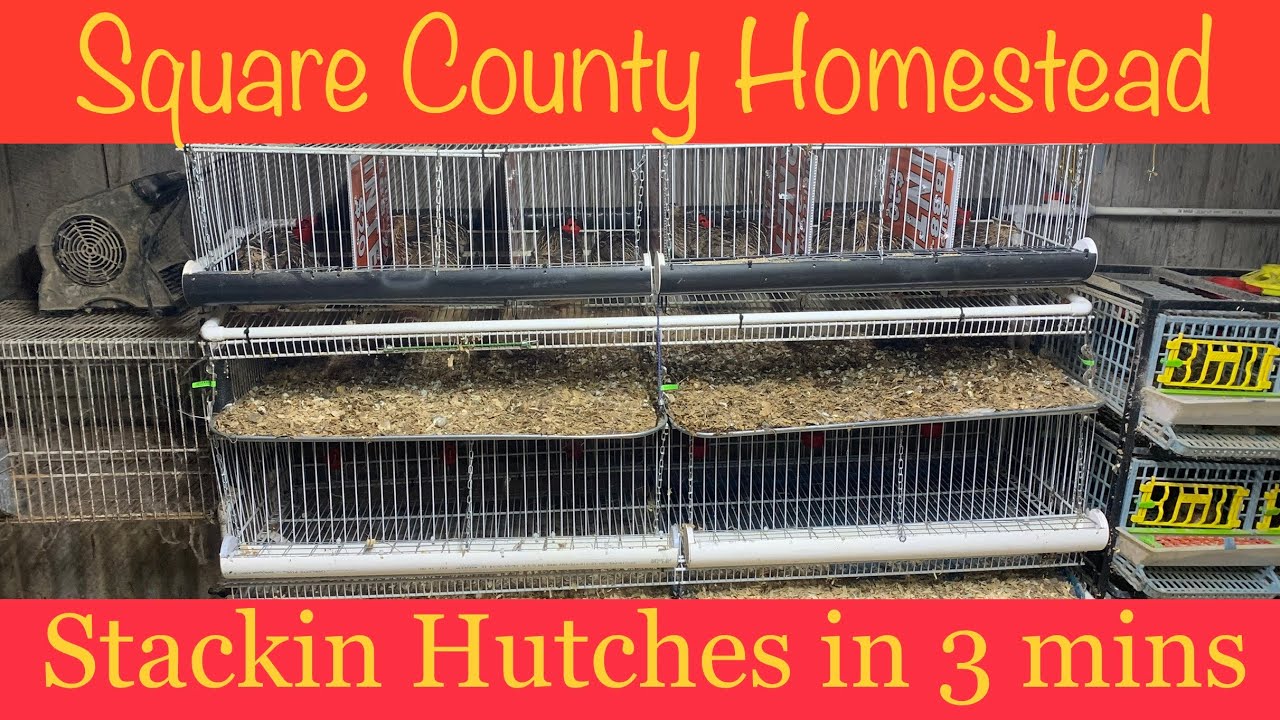 How to stack your 10 min quail hutch in 3 minutes. - YouTube