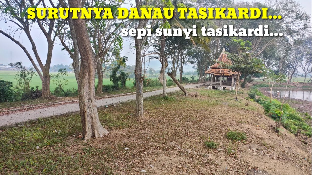 DANAU TASIKARDI YANG SURUT || WISATA ALAM - YouTube