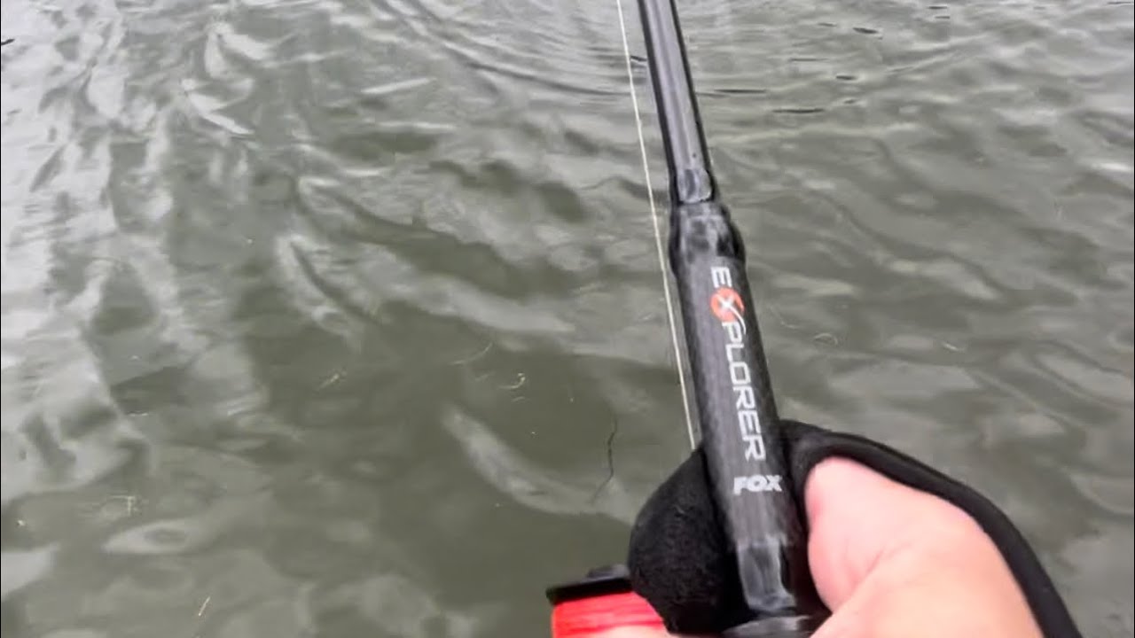 Fox Explorer 8-10 ft rod.. 3 lb .. Mega Rod!! #austria #fish #fishing # ...