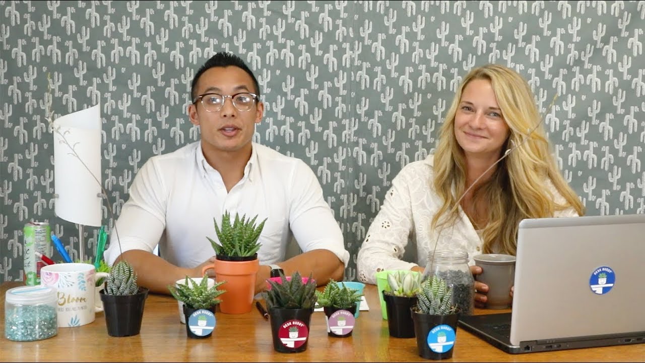 Do you know what your desk needs? A Desk Buddy™ or three! - YouTube