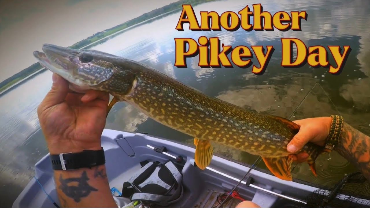 Another Pikey Day - YouTube