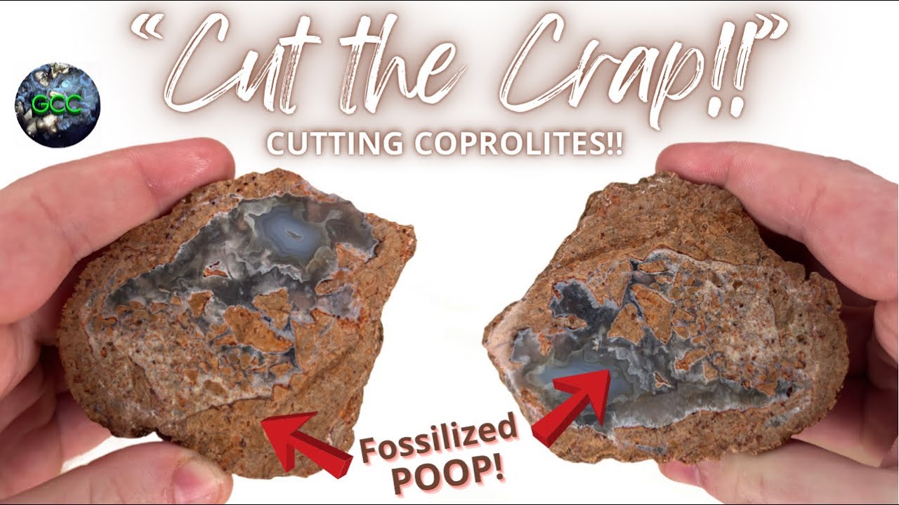 “Cut the Crap!!” | Cutting Coprolites (Fossilized POOP!) - YouTube