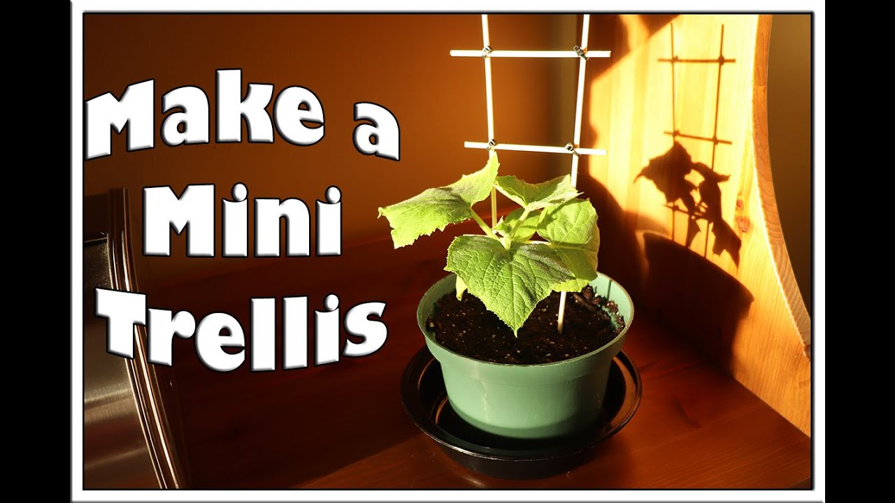 Make A Mini Trellis - YouTube