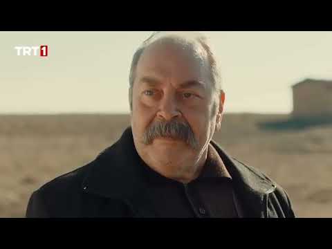 Seni seviyorum demesede olur.