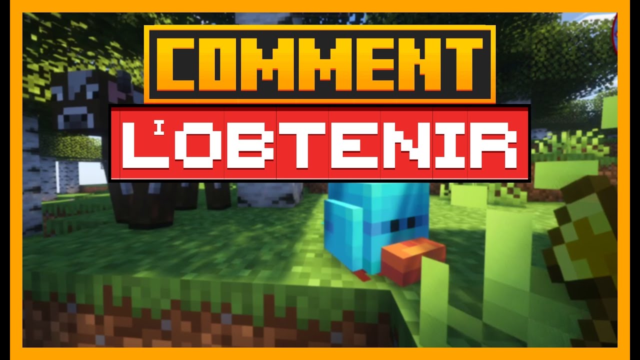 COMMENT UTILISER les Birt et leurs nids dans MINECRAFT avec Species ...