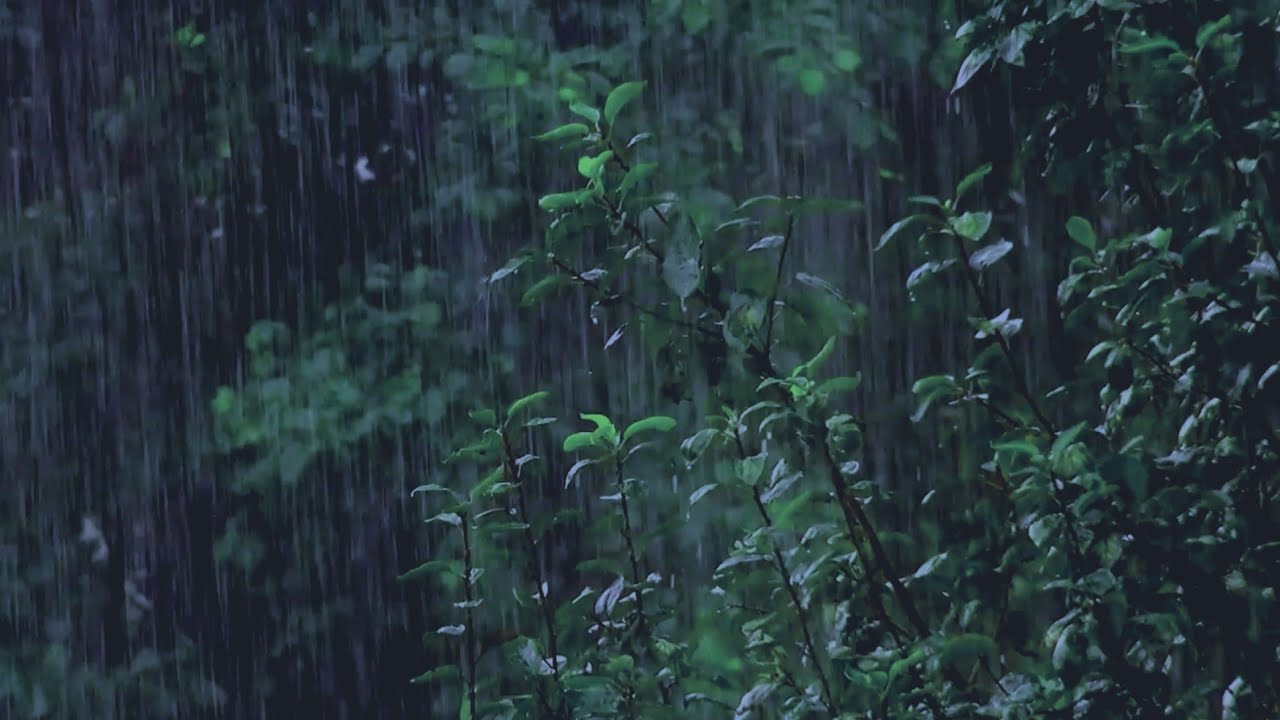 Relaxing fall rain sounds for sleeping , Cozy up with a cup of tea and ...