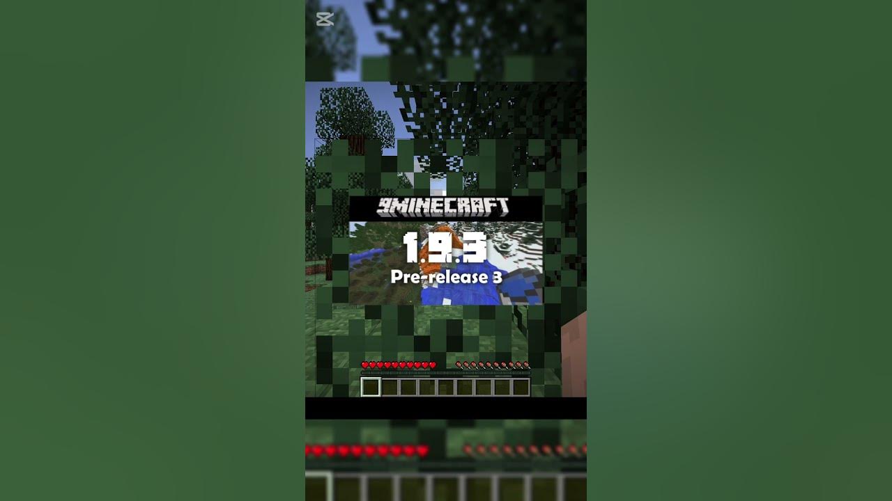 What's the RAREST Block in Minecraft? 🏆 - YouTube