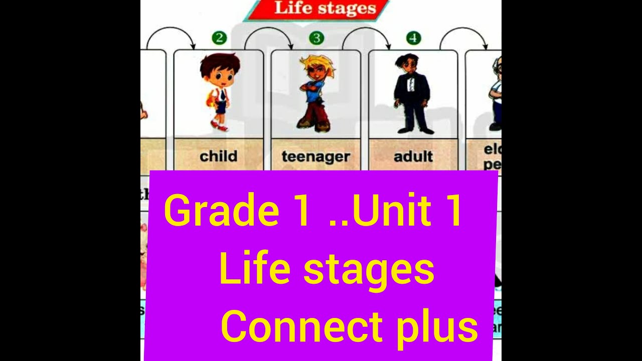 Grade 1 Connect plus *life stages Unit 1 part 3 - YouTube