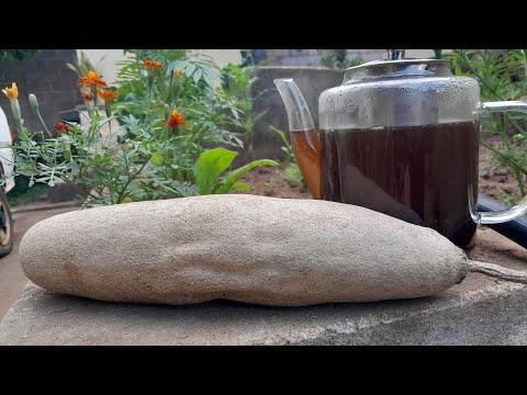What you dont know about kigelia africana | The sausage fruit