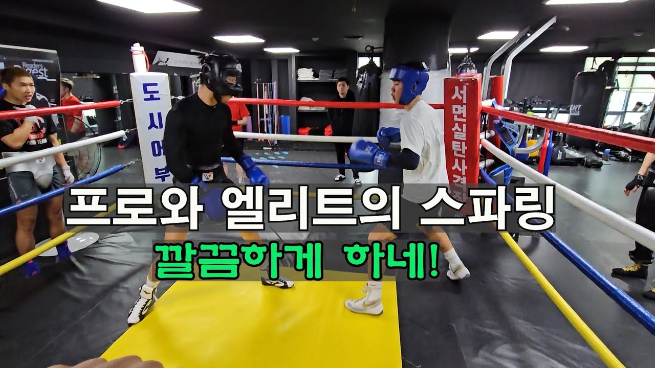 엘리트와 프로 복서의 스파링 깔끔하게 하네 Boxing 권투 복싱 스파링 챔피언 엘리트 아마복싱 프로복싱