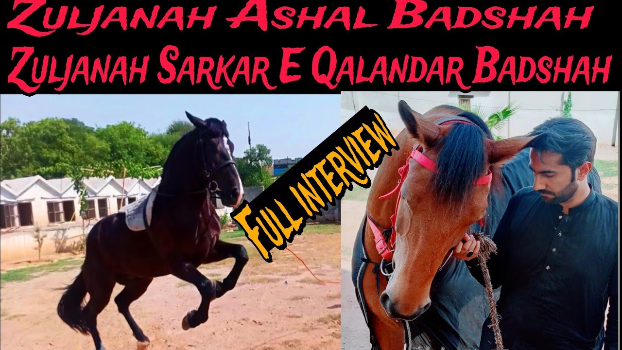 2 Zuljanah pak Documentary interview| Zuljanah Ashal Badshah Zuljanah ...